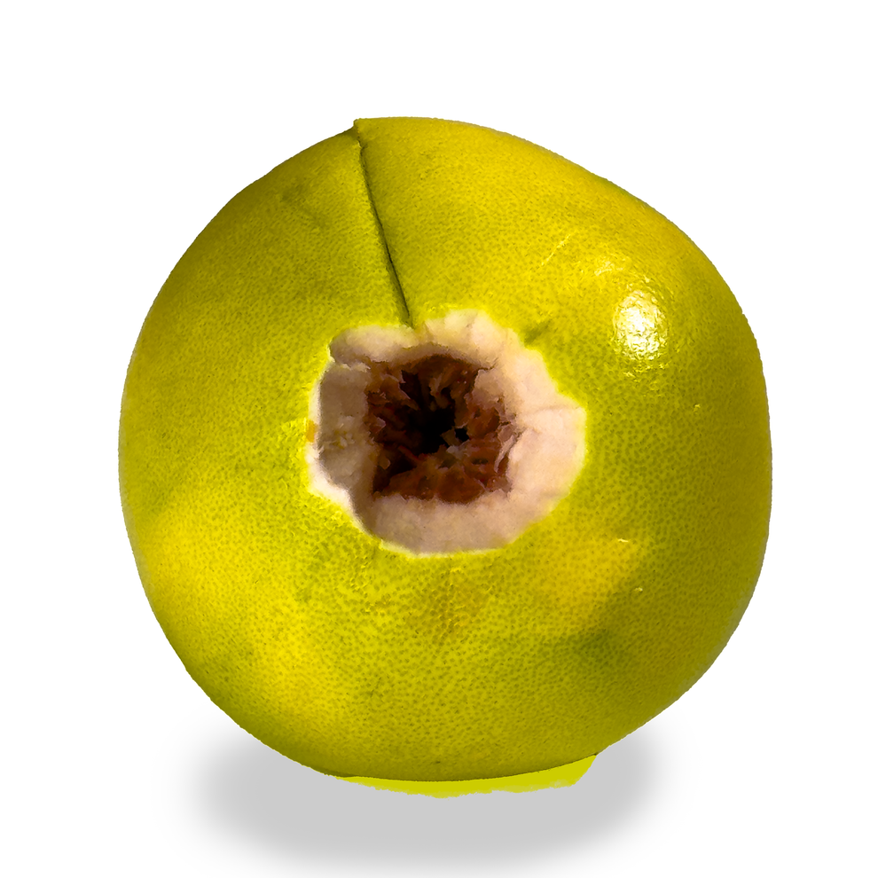 FOR THE MONSTERS – PLUMMCORP AUDIOVISUAL